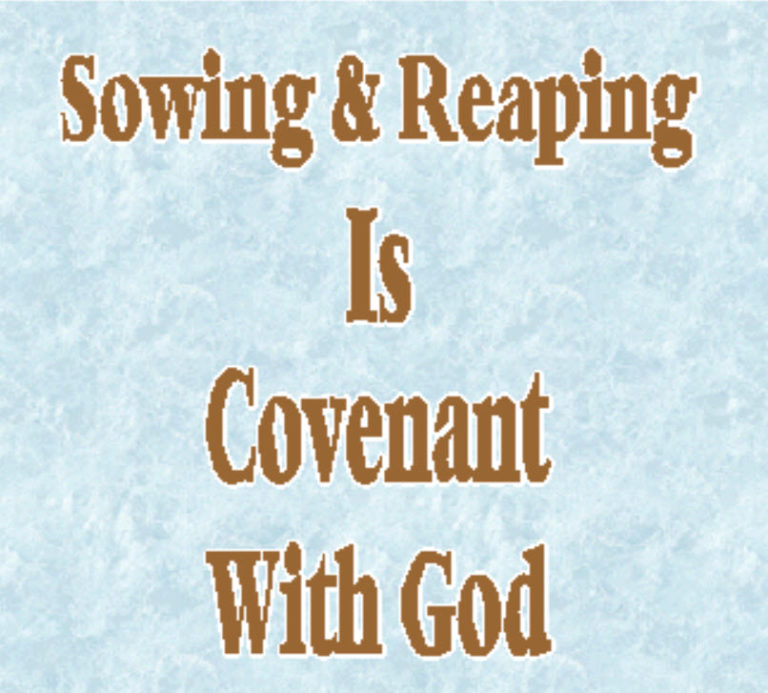 Sowing & Reaping Is A Covenant | God's Word Alive
